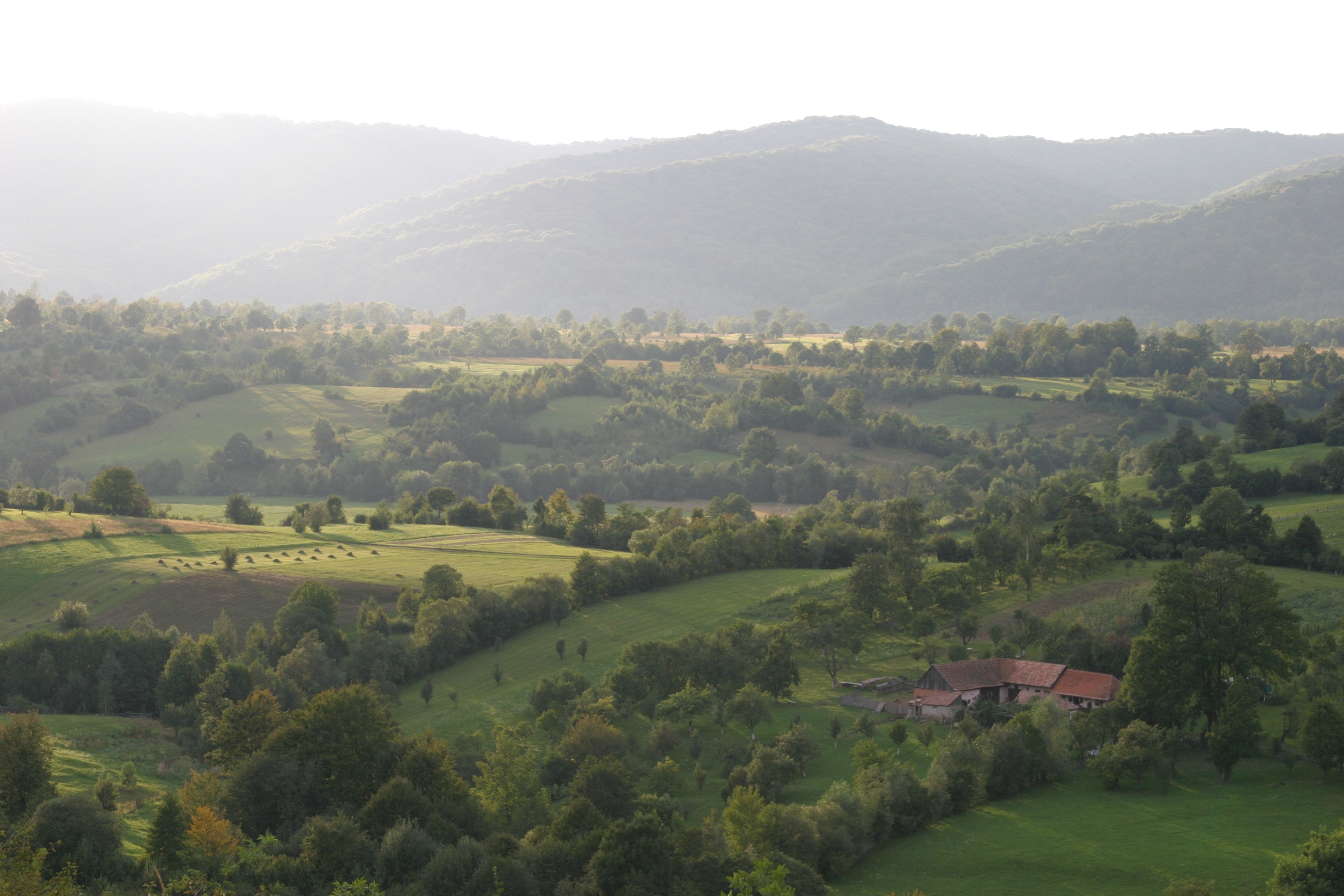 A Policy Field Guide to Sinca Noua and the Tagla Mountains | WWF