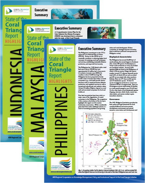State of the Coral Triangle Reports Launched | WWF