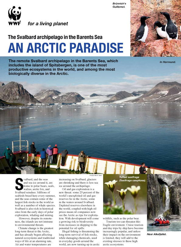 The Svalbard archipelago in the Barents Sea: An arctic paradise | WWF