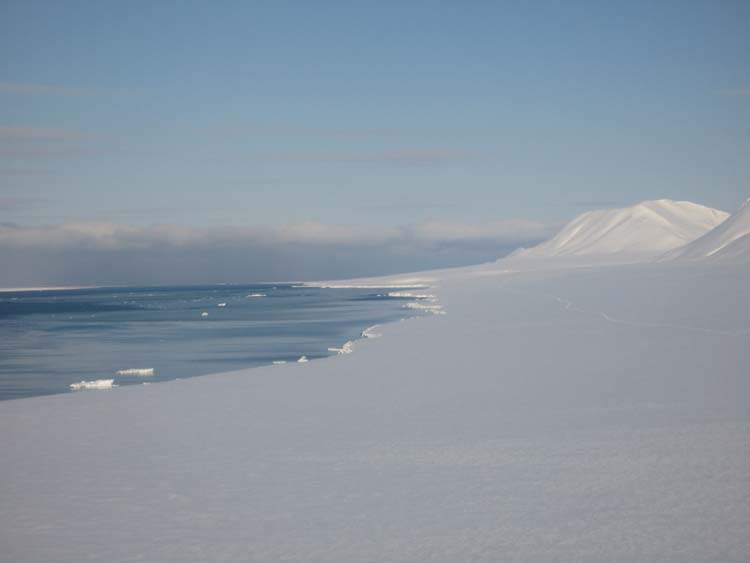 Day 3 - North Spitsbergen | WWF