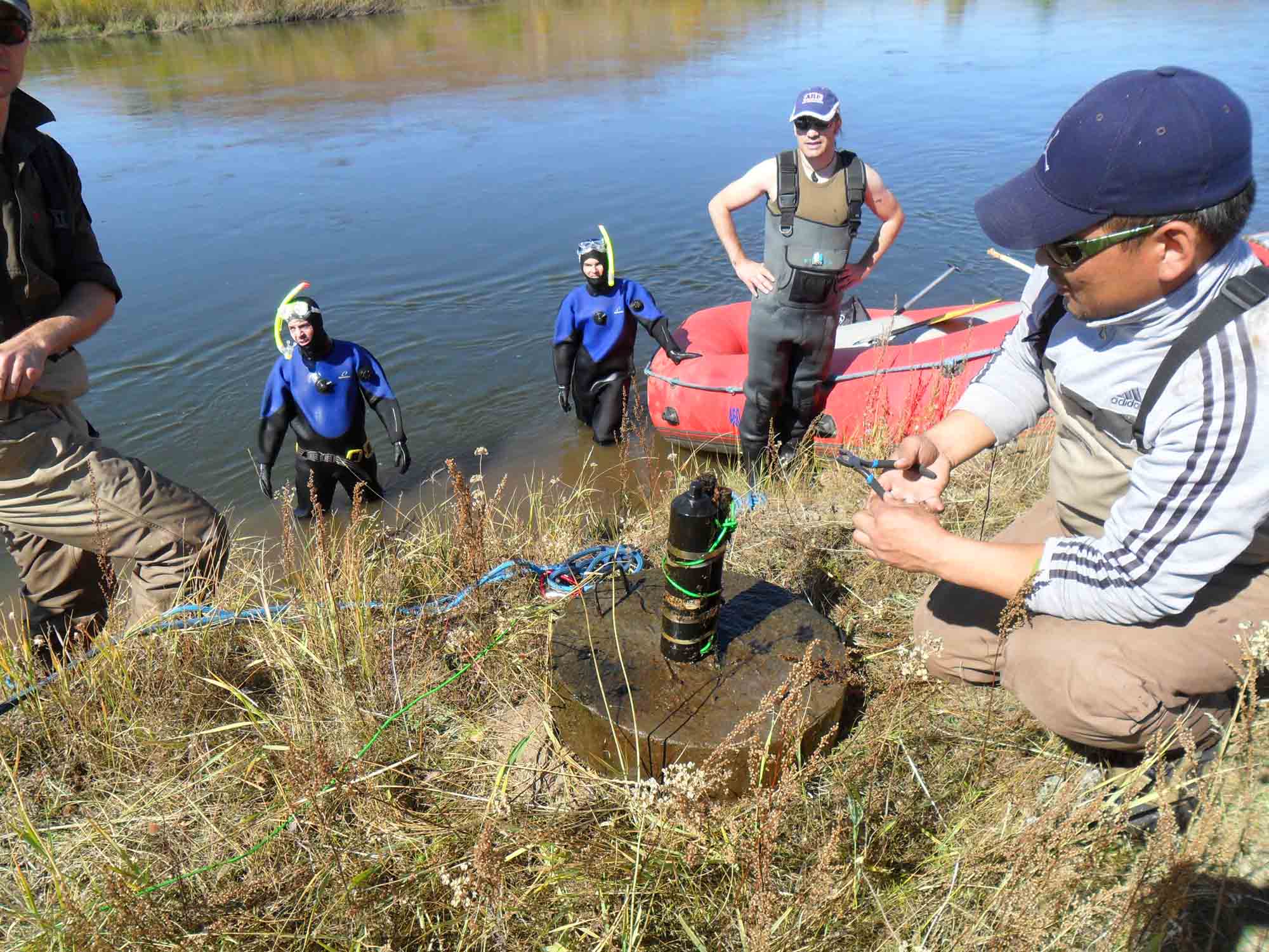 Study on taimen is ongoing | WWF