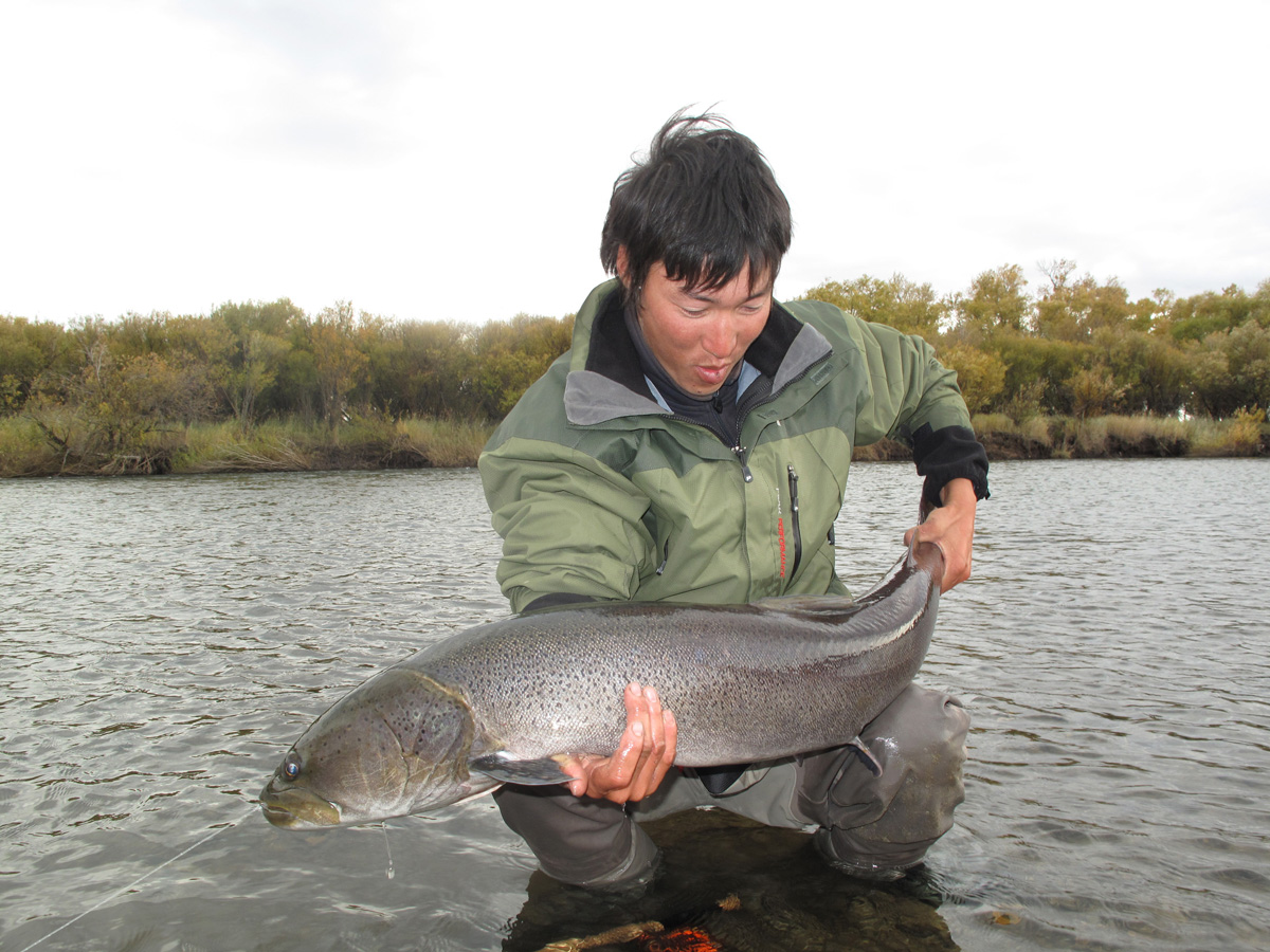 The results of Taimen conservation campaigns to be advised sooner | WWF