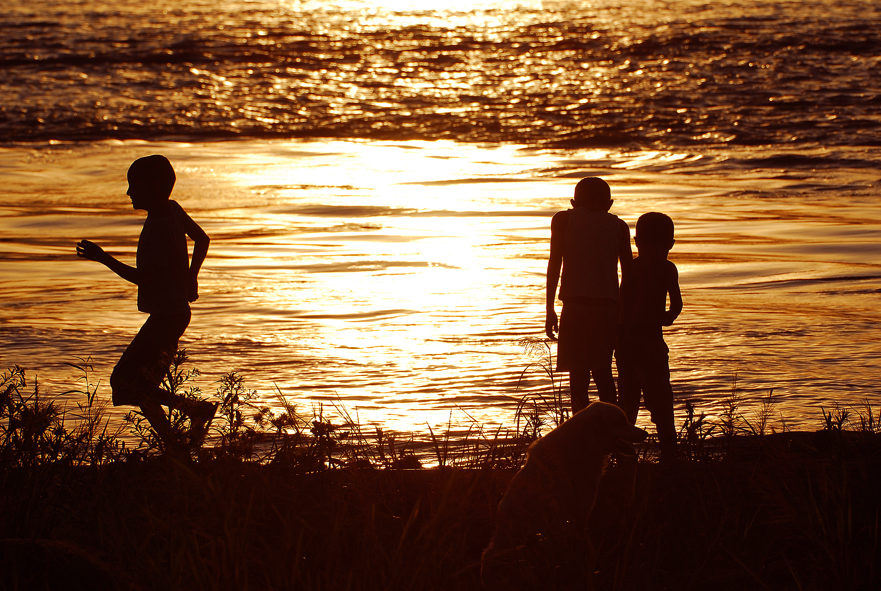 WWF rallies behind the call for a New Deal for Nature and People | WWF