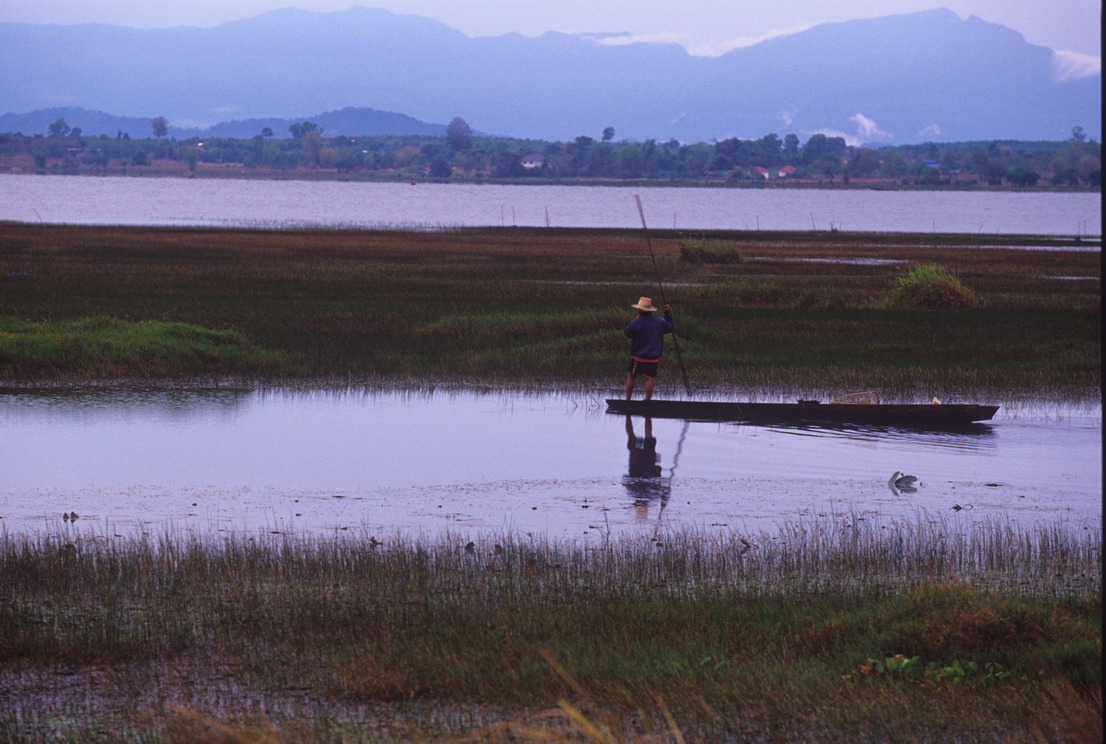 Protecting Thailand's wetland ecosystems | WWF
