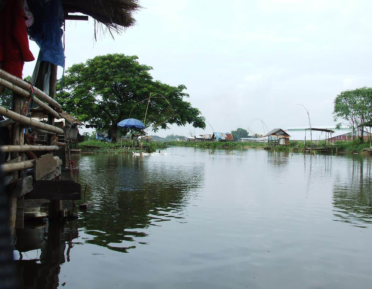 Support to That Luang Marsh | WWF