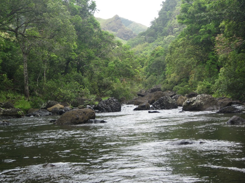 Day Two of Ba Freshwater Survey | WWF