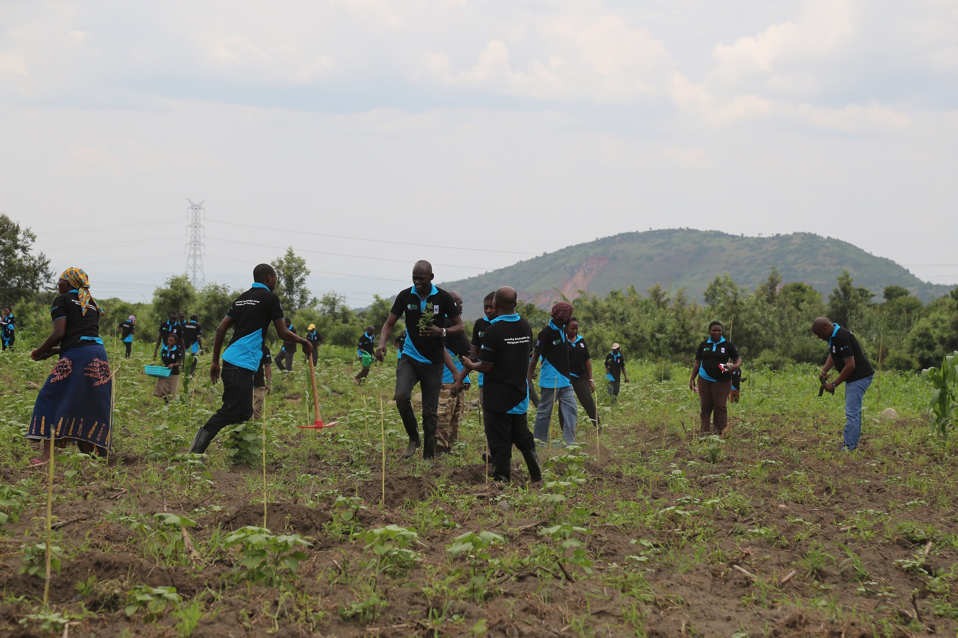 A Celebration of Partnerships | WWF