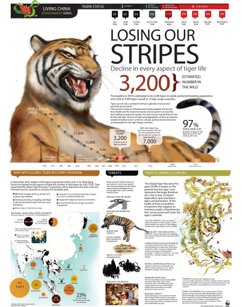 TIGER INFOGRAPHIC WORLD RANGER DAY | WWF