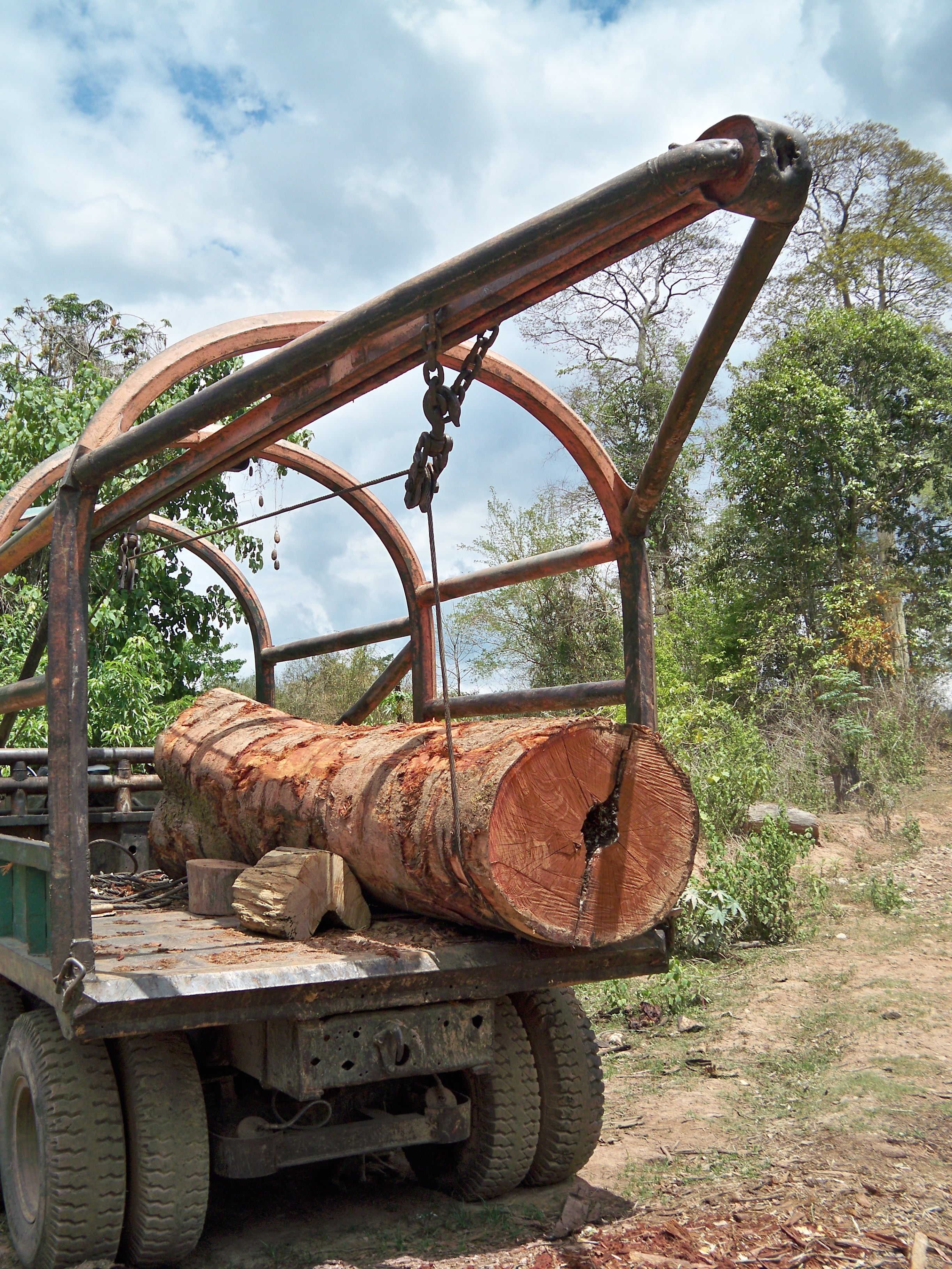 Timber Trade Legality Receives Boost in Laos | WWF
