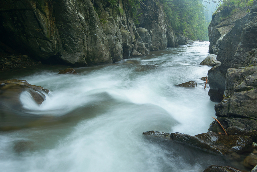 Râul Alb din Munții Retezat cade pradă unor interese private | WWF
