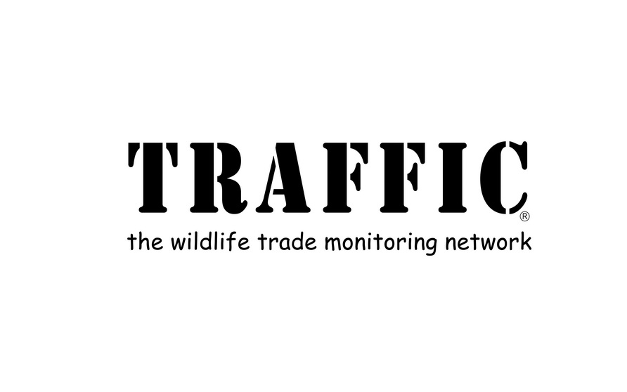 WWF and TRAFFIC Applaud Global Commitments to Combat Wildlife Crime | WWF