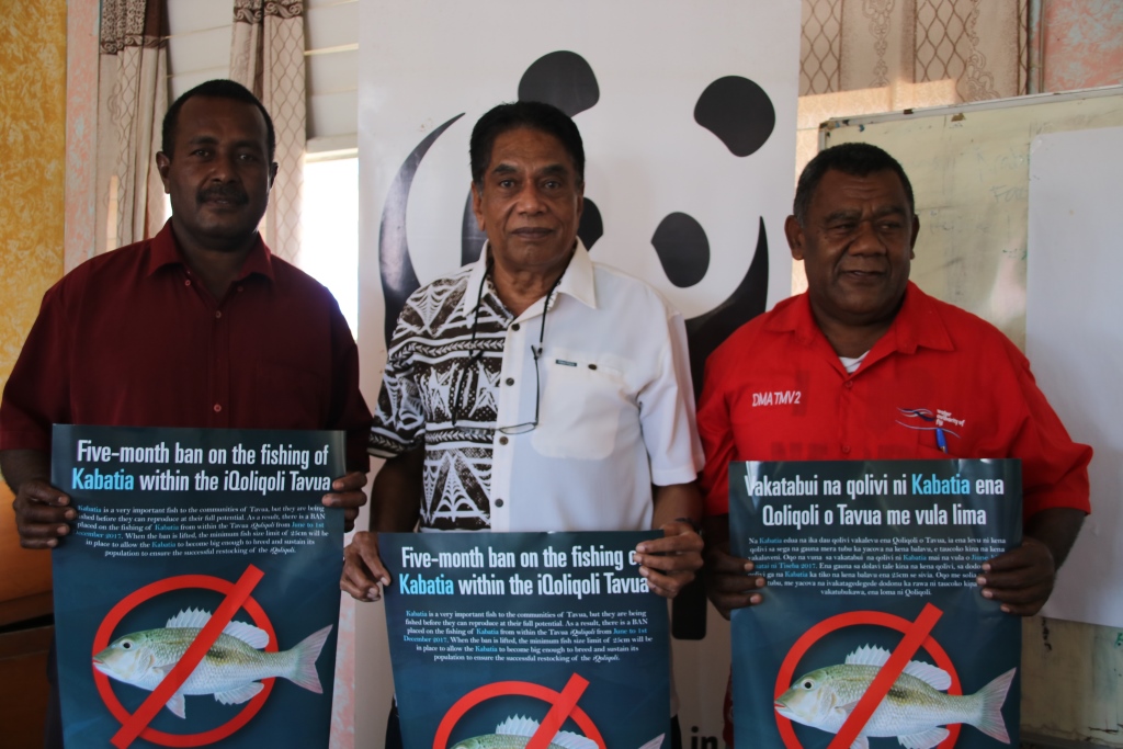 Tavua places five months ban on fish species | WWF