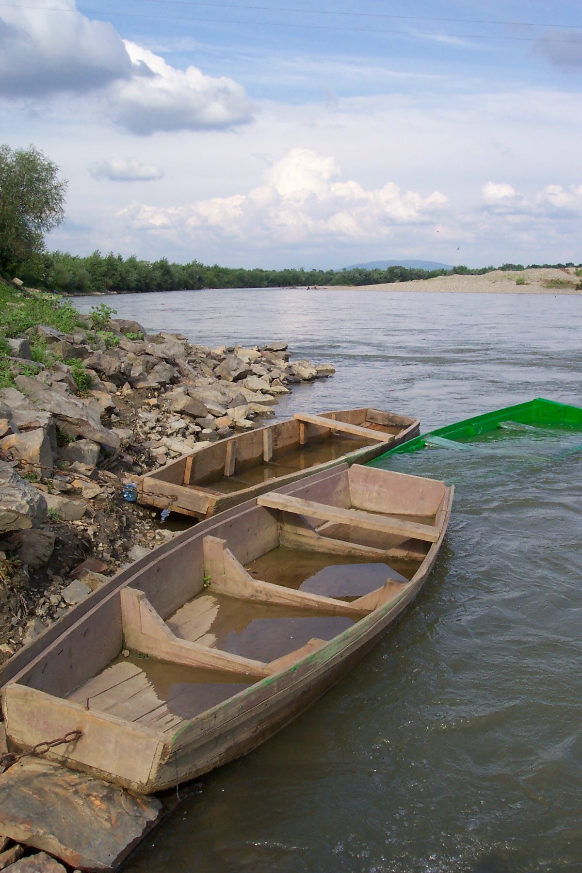 Europe’s little-known jungles: The riverine forests of Transcarpathia | WWF