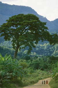 Nurturing the future | WWF