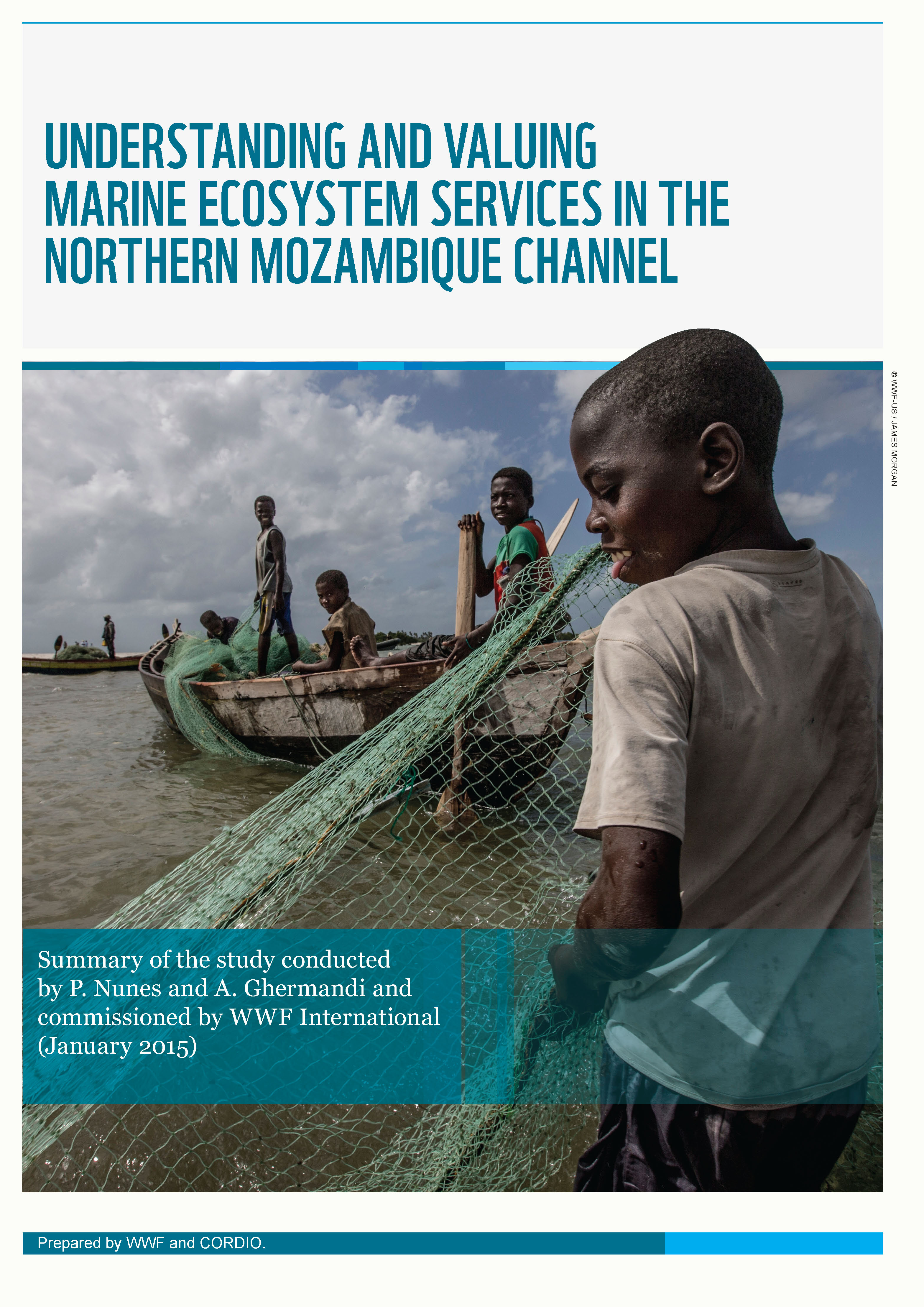 marine ecosystem services