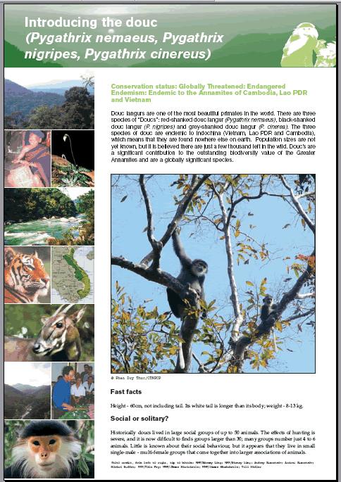 Introducing the douc (Pygathrix nemaeus, Pygathrix nigripes, Pygathrix ...