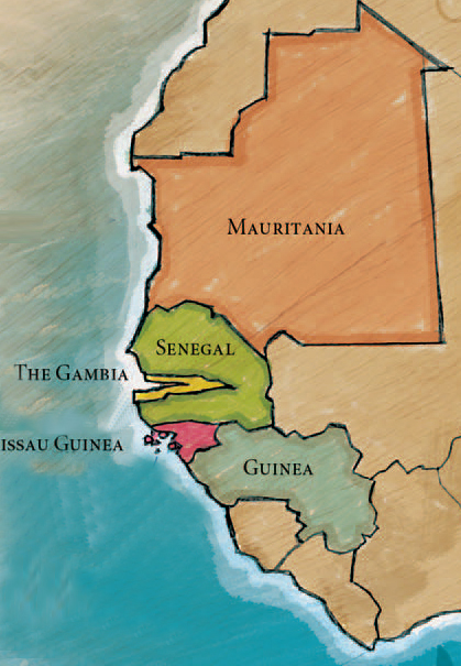 ACTIVITES PHARES DU WAMPO EN 2012 | WWF