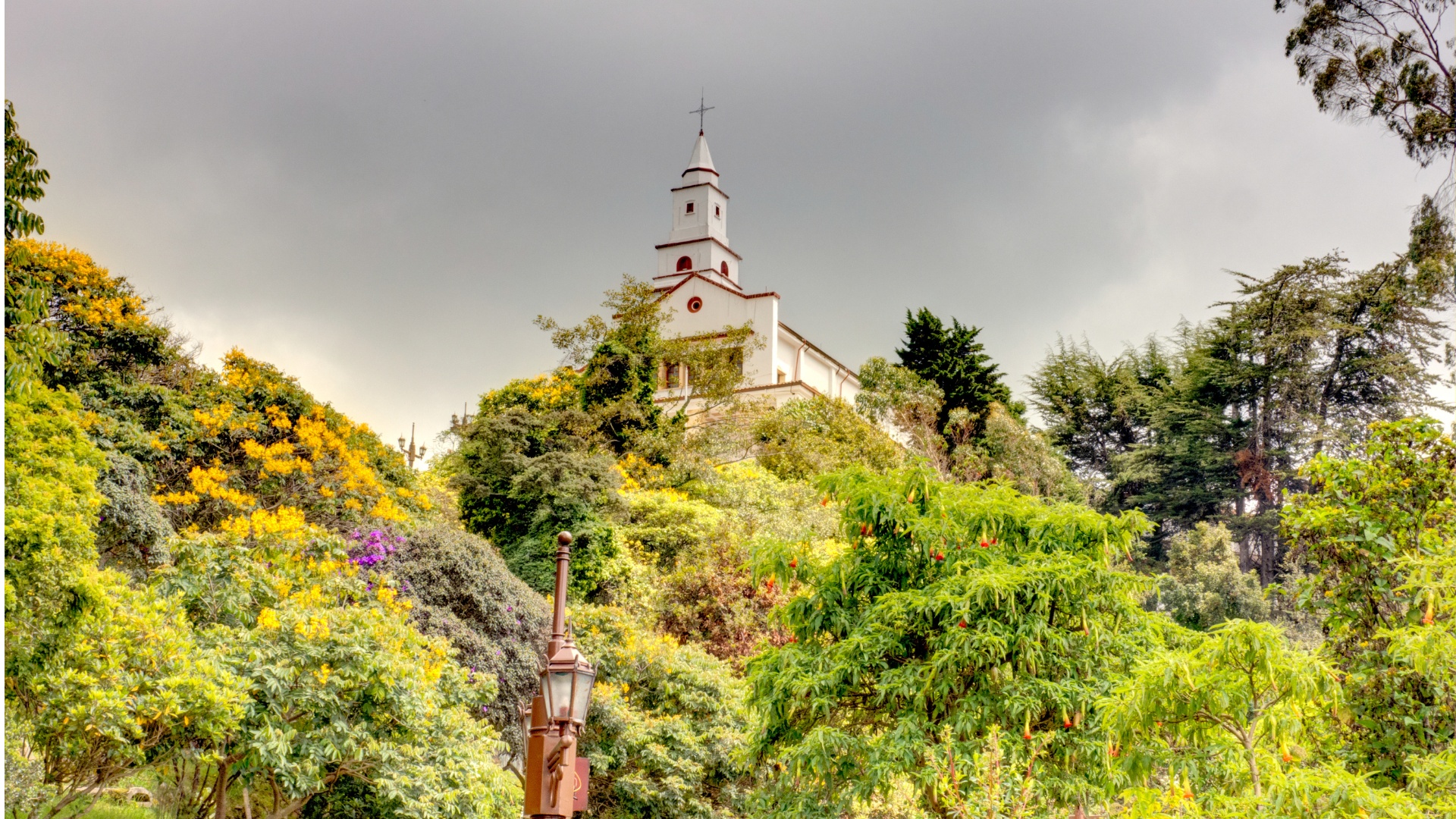 Bogotá - Gender and Green Gardens | WWF