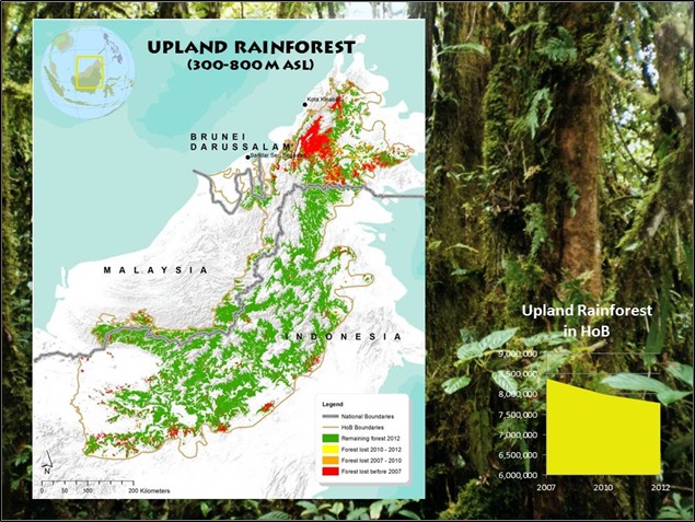 The Environmental Status of the Heart of Borneo 2014 | WWF