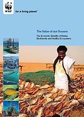 The value of our oceans | WWF
