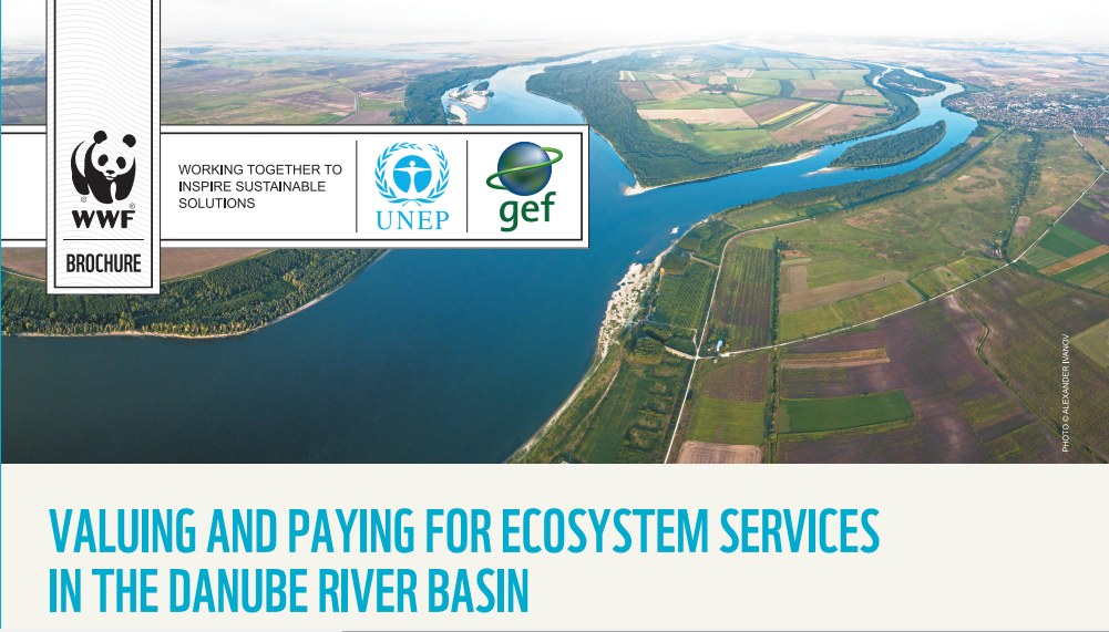 Valuing and paying for ecosystem services in the Danube basin | WWF