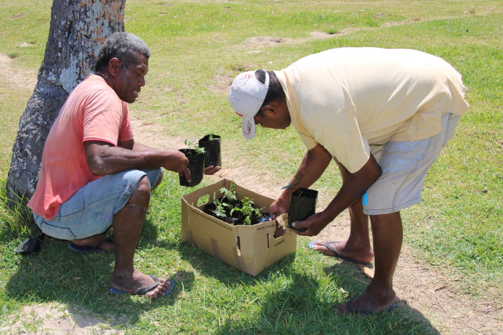 Vuaki community replant to help protect coastline | WWF
