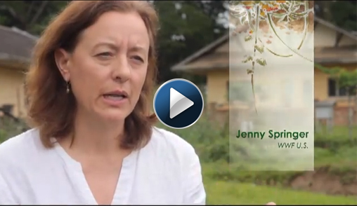 New video supports dialogue with forest communities on REDD+ | WWF