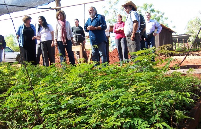 1er. Congreso Internacional Forestal y Viverista | WWF