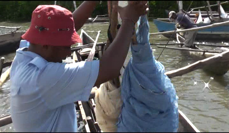 Ambaro Bay: stop fishing when it is no longer the fishing season! | WWF