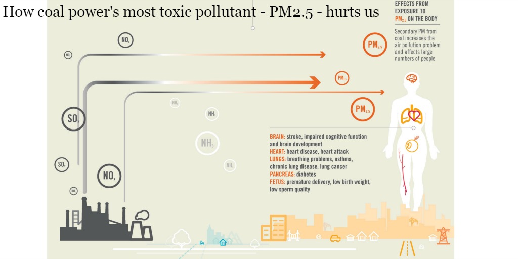 Effective coal regulation could slash deaths from toxic fumes by 85% | WWF