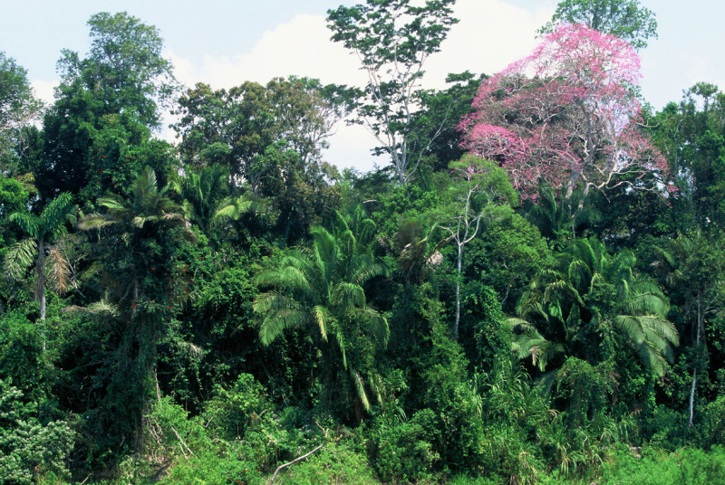 Cross-border initiative for land-use planning of 310 thousand hectares ...