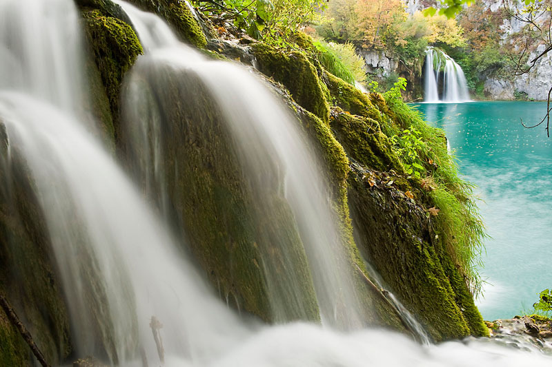 Resource Efficiency Indicators | WWF