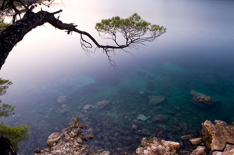 The major environmental challenges of the Greek EU Presidency | WWF