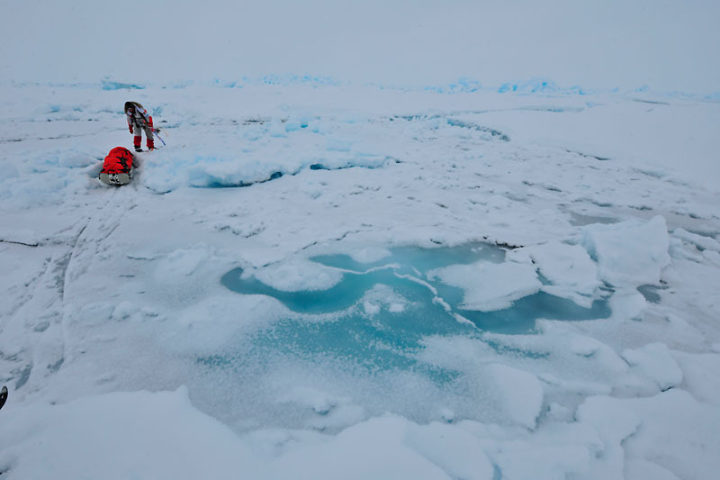 Rapid ice loss found in survey supports trend to summer ice free Arctic ...