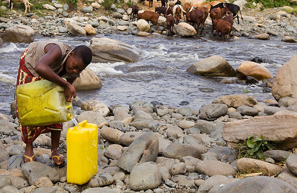 Simple tool helps companies address water risks | WWF