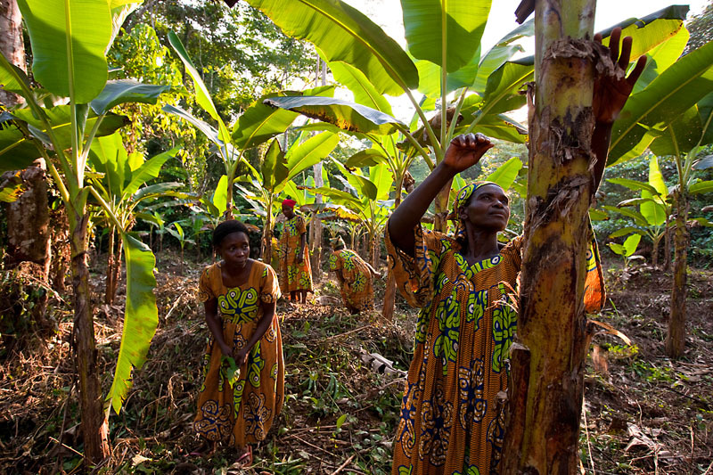 Our Cameroon story: Over two decades of working with communities on ...