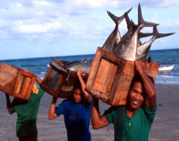 Coral triangle set to gain from certifying key canned tuna fishery | WWF