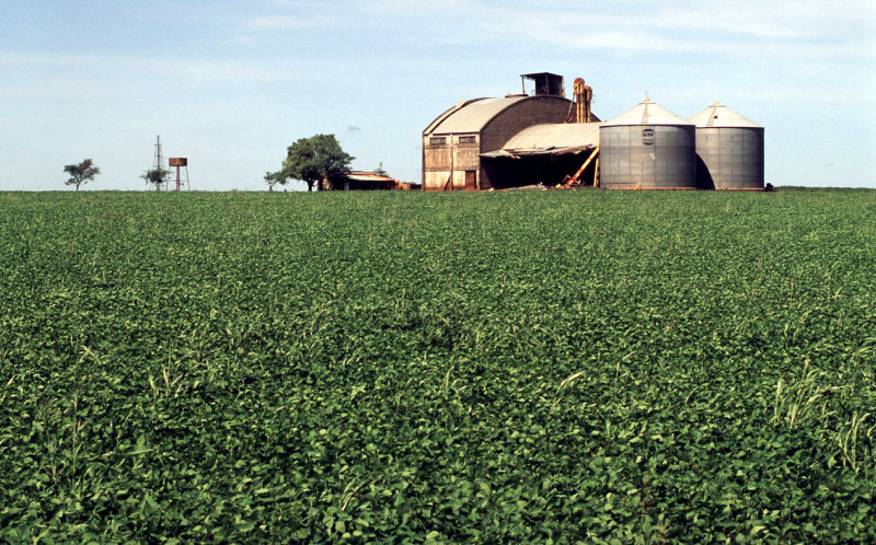 Responsible Soy Reaches First Million Tonnes Certified | WWF