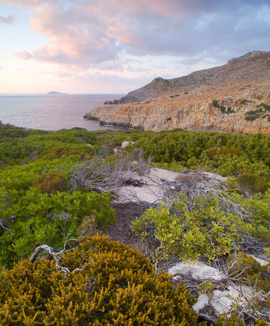 Greece going into deep environmental recession | WWF