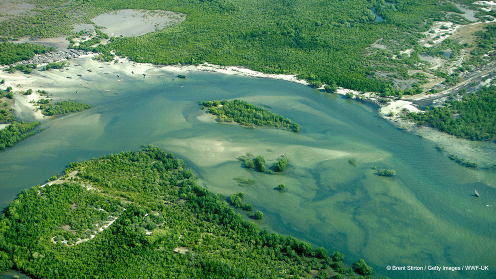 Working with Nature to Reduce Climate Risk in Europe on World Wetlands ...