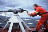 Too close for comfort | WWF