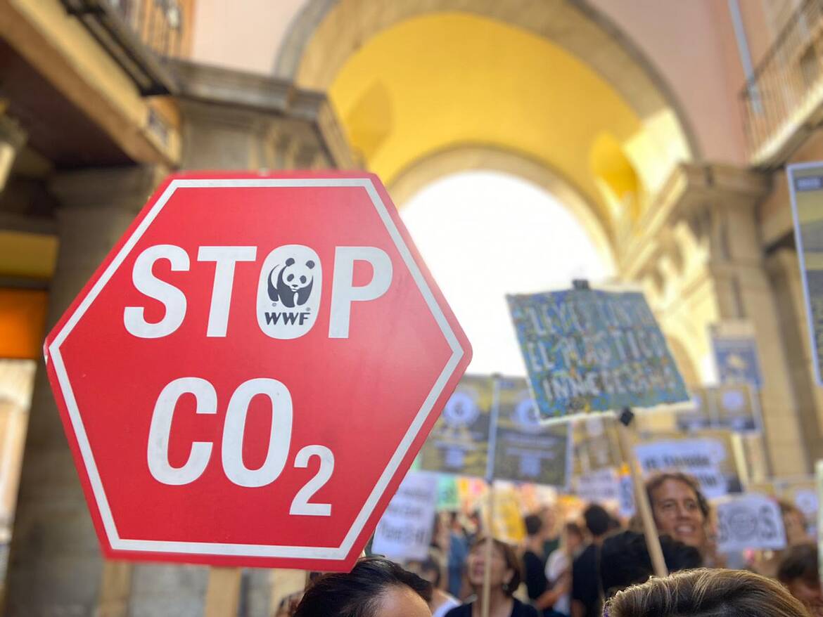 COP29: un momento crucial para desbloquear la acción climática | WWF
