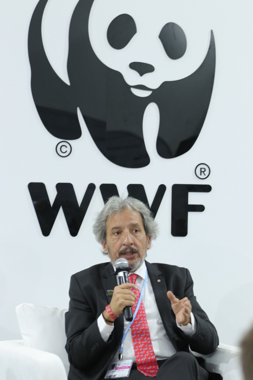 Últimas horas para “rescatar” la COP27, alerta WWF | WWF