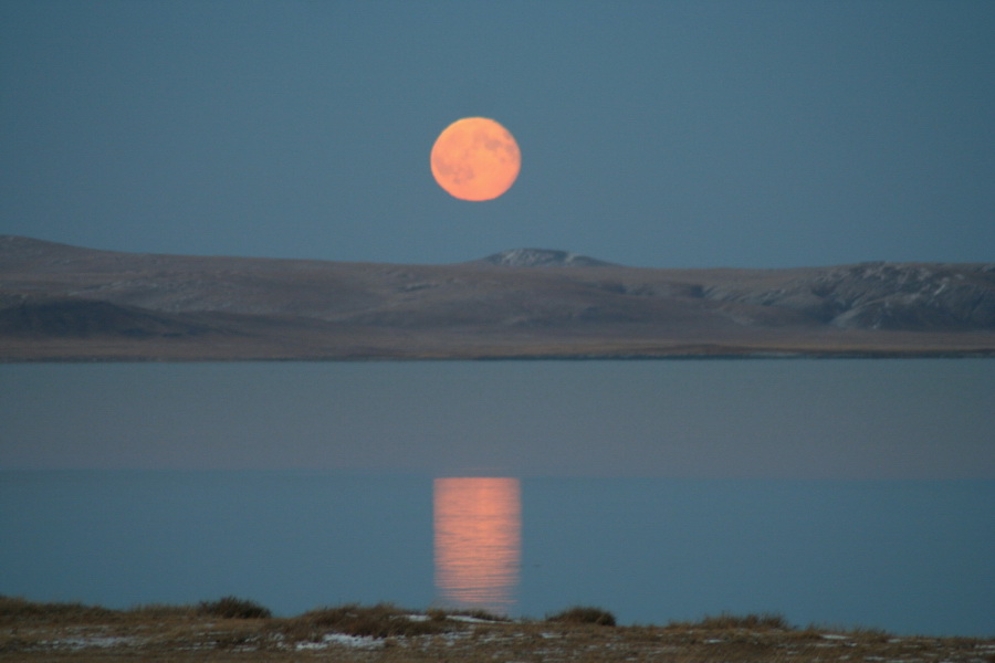 Economists fail to account for ‘natural capital’ – report | WWF