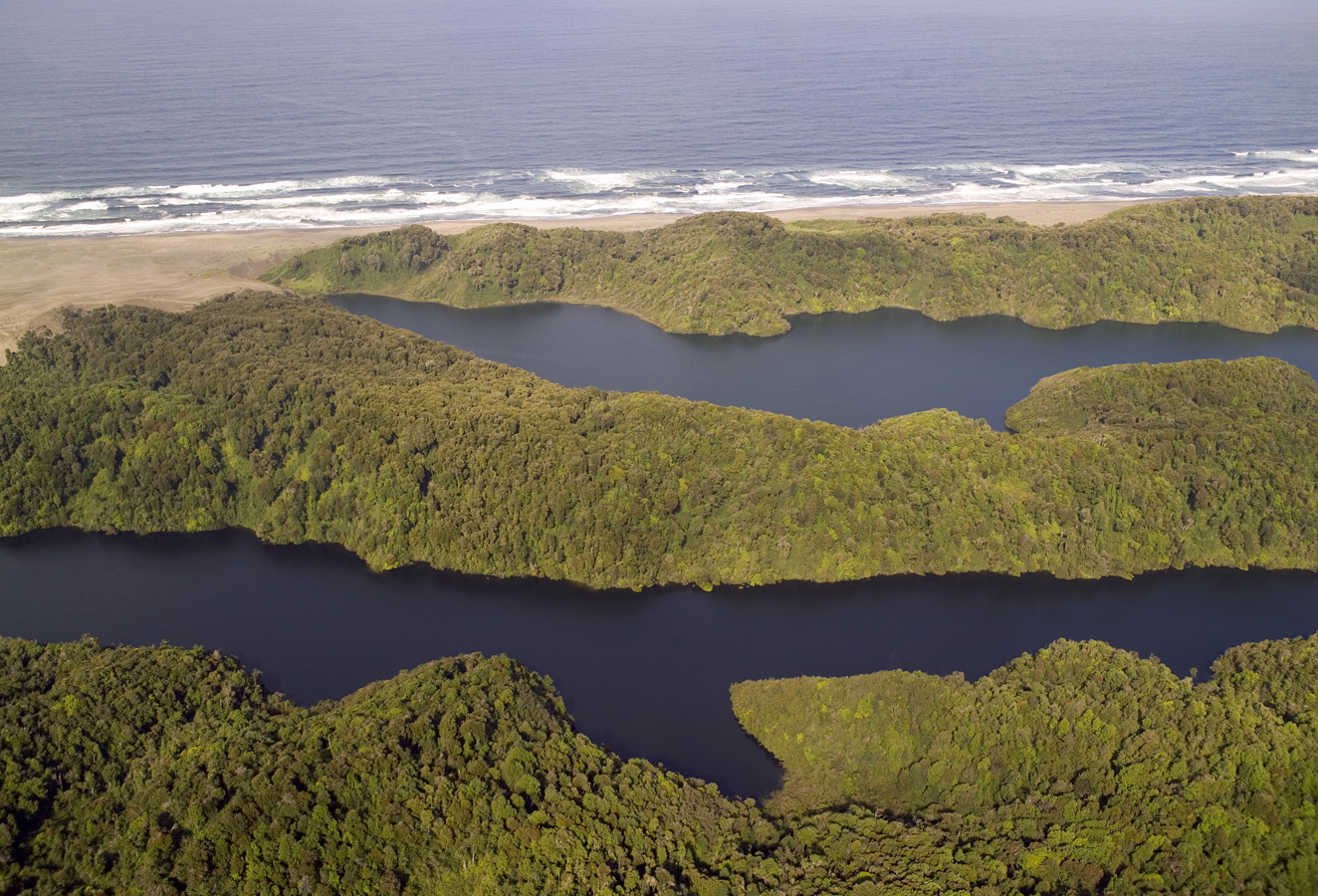 Funds from the National Green Tax to support ecological restoration and ...