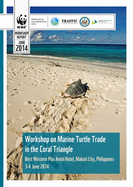 Workshop on Marine Turtle Trade in the Coral Triangle | WWF