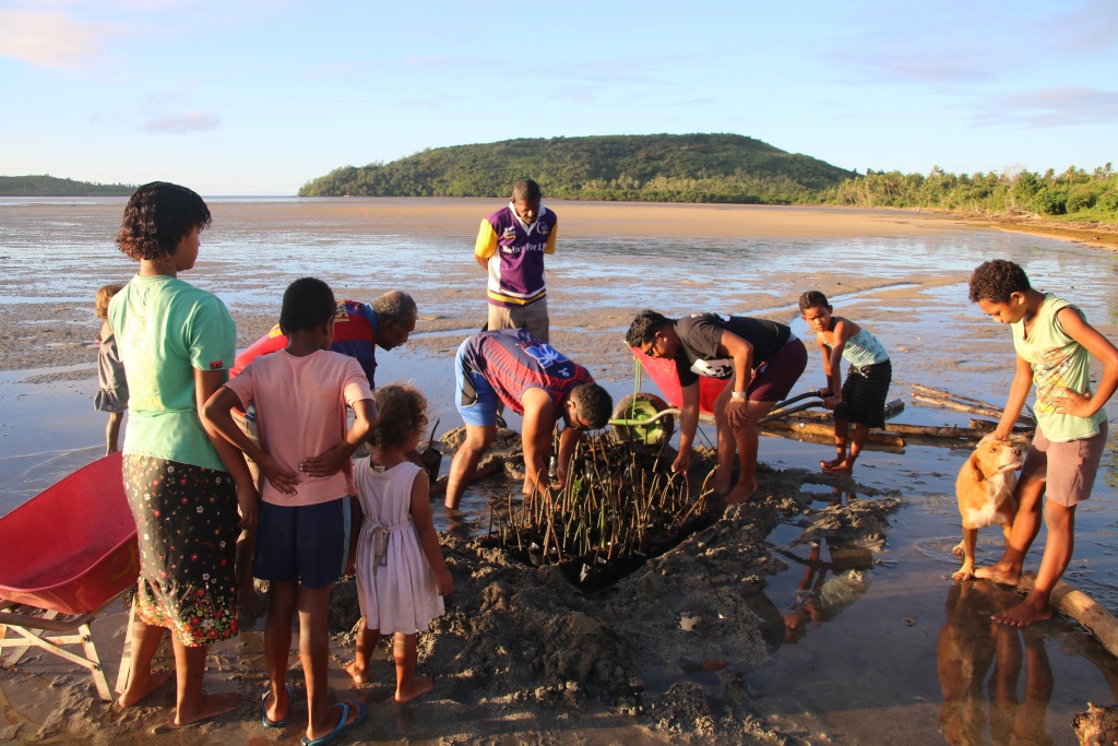 Preserving the integrity of Fijis Great Sea Reef | WWF