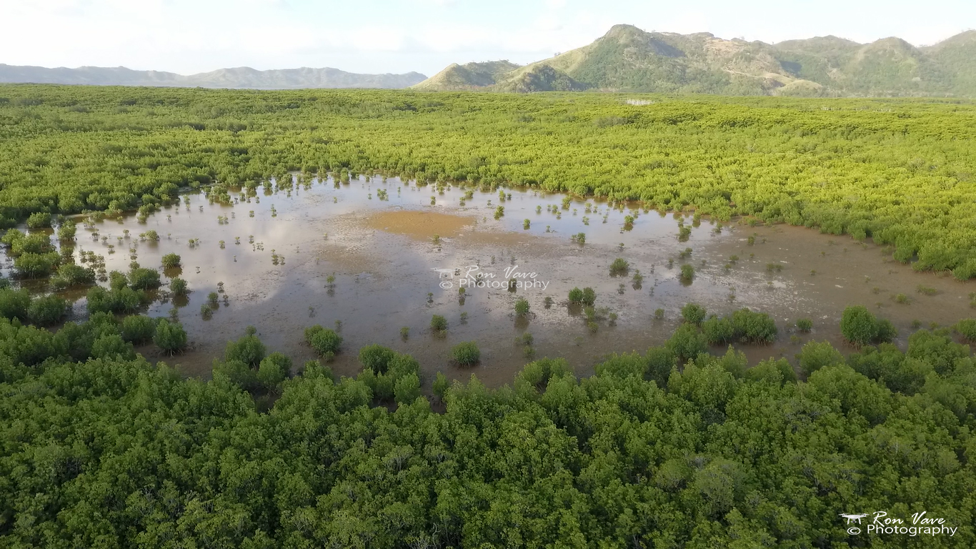 Preserving the integrity of Fijis Great Sea Reef | WWF