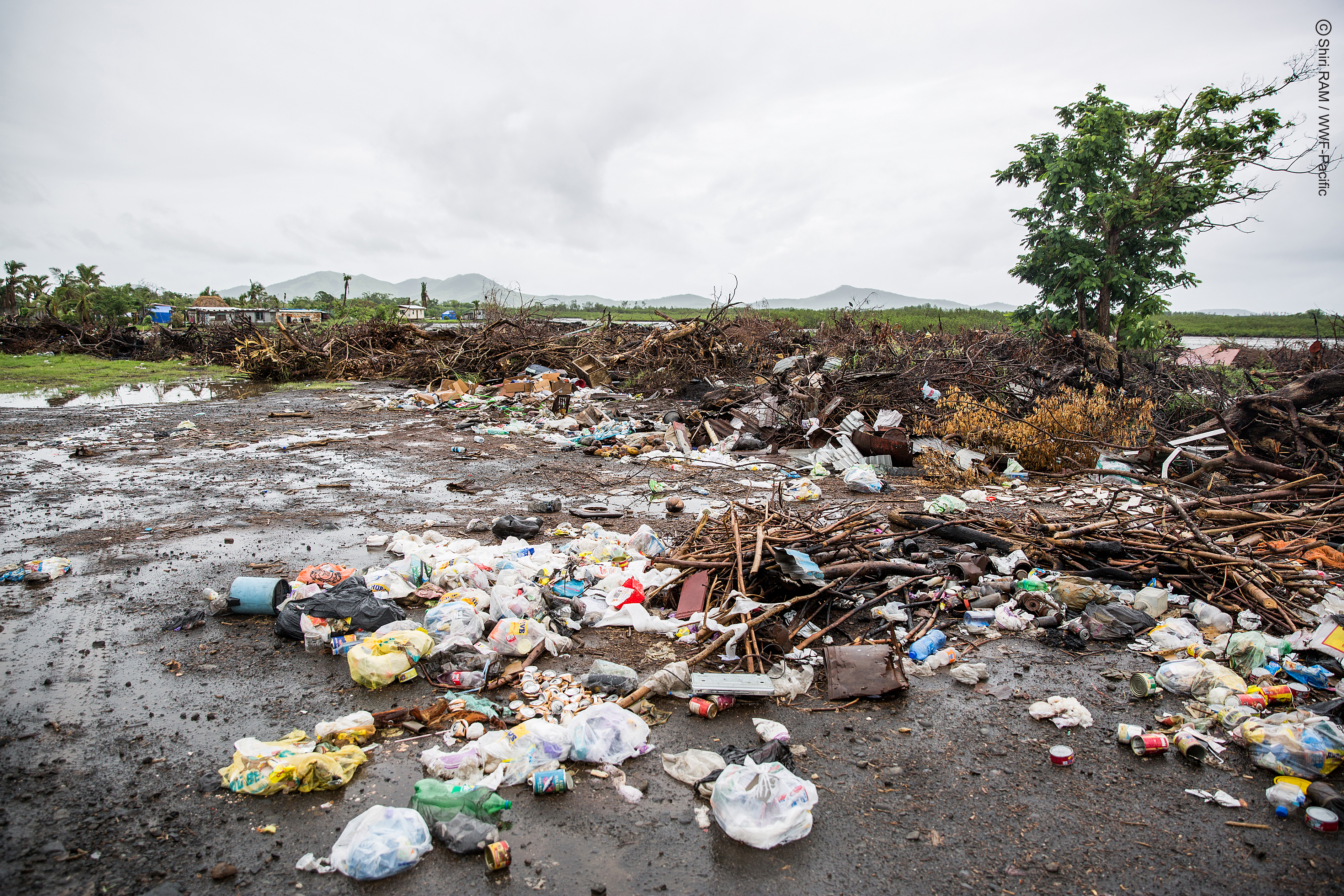 Preserving the integrity of Fijis Great Sea Reef | WWF