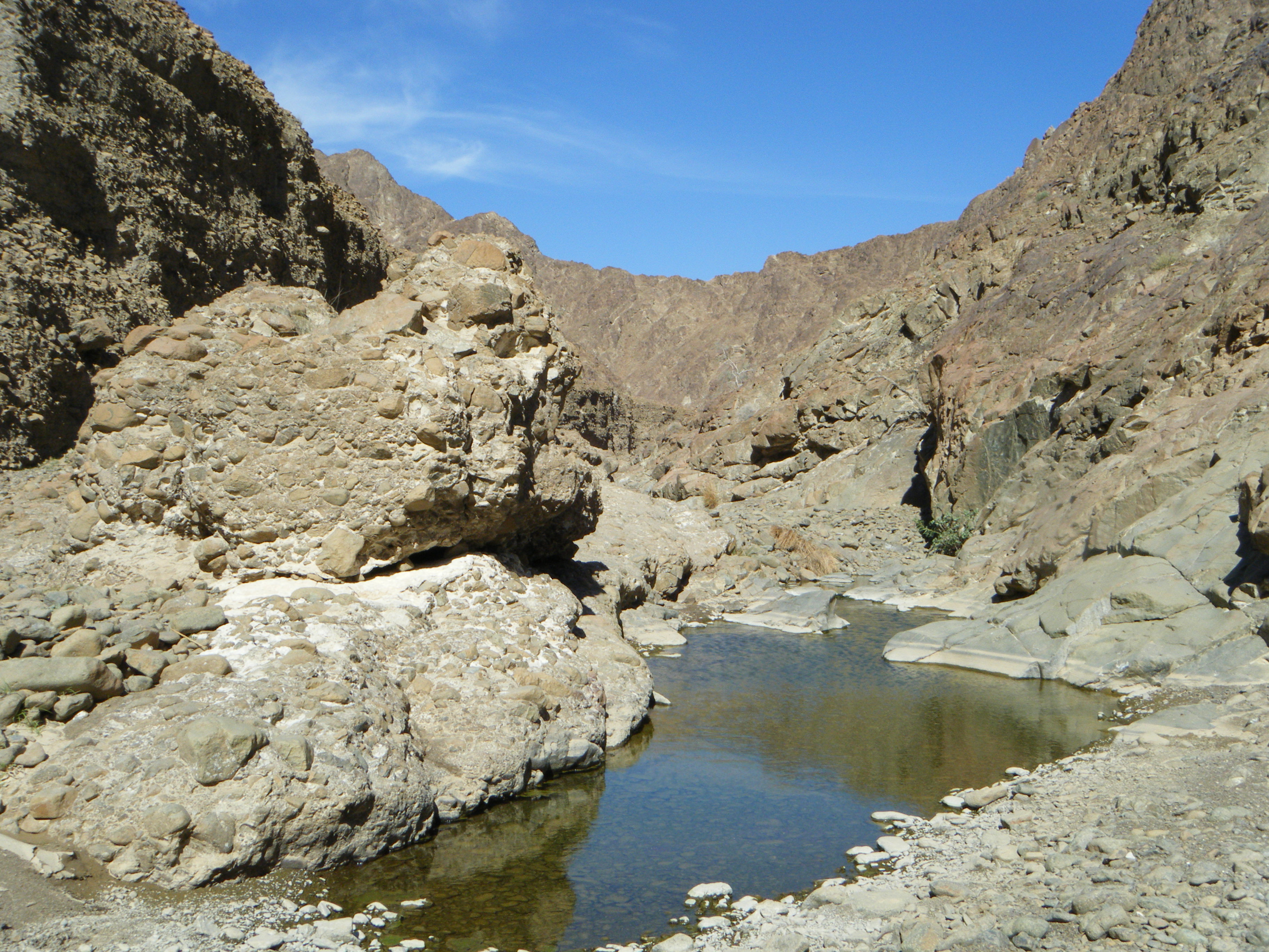 Emirates Wildlife Society-WWF Congratulates the Government of Fujairah ...